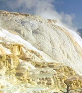 Cal Química – Mayacal